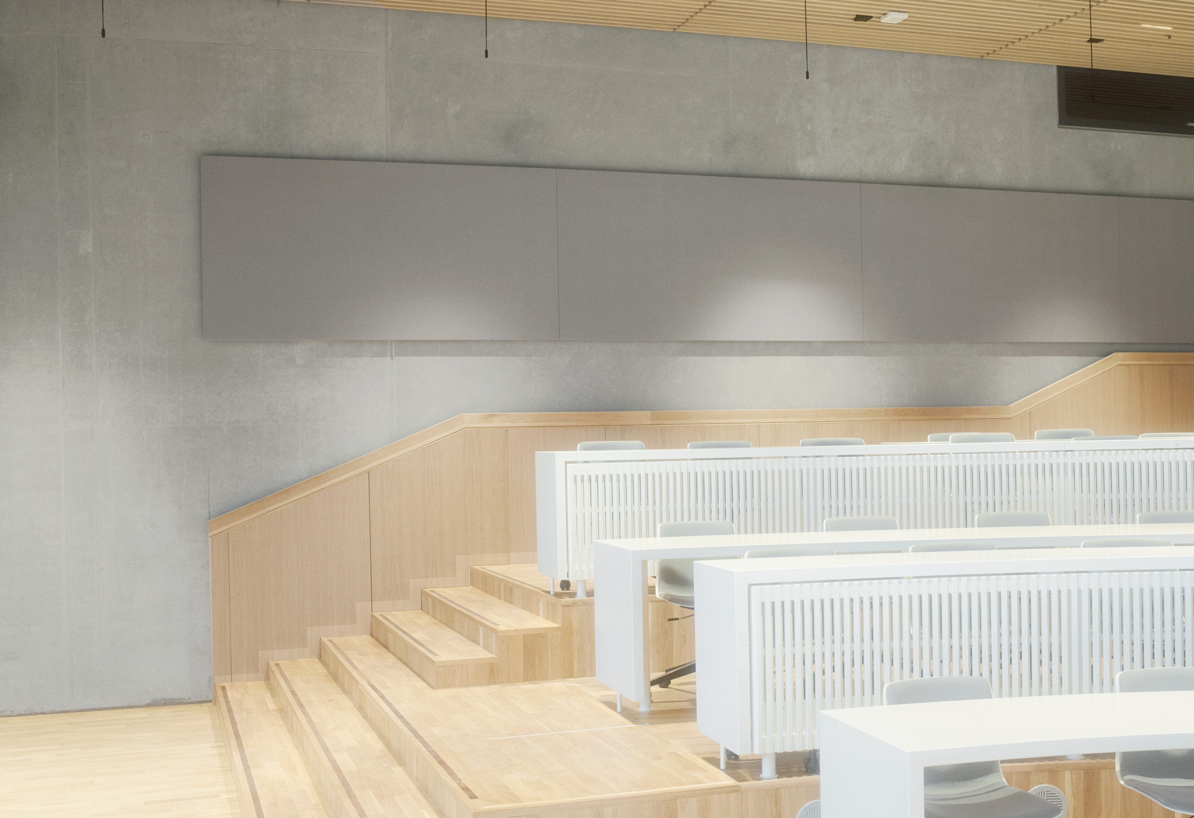 Soft Cells Panum Institute project