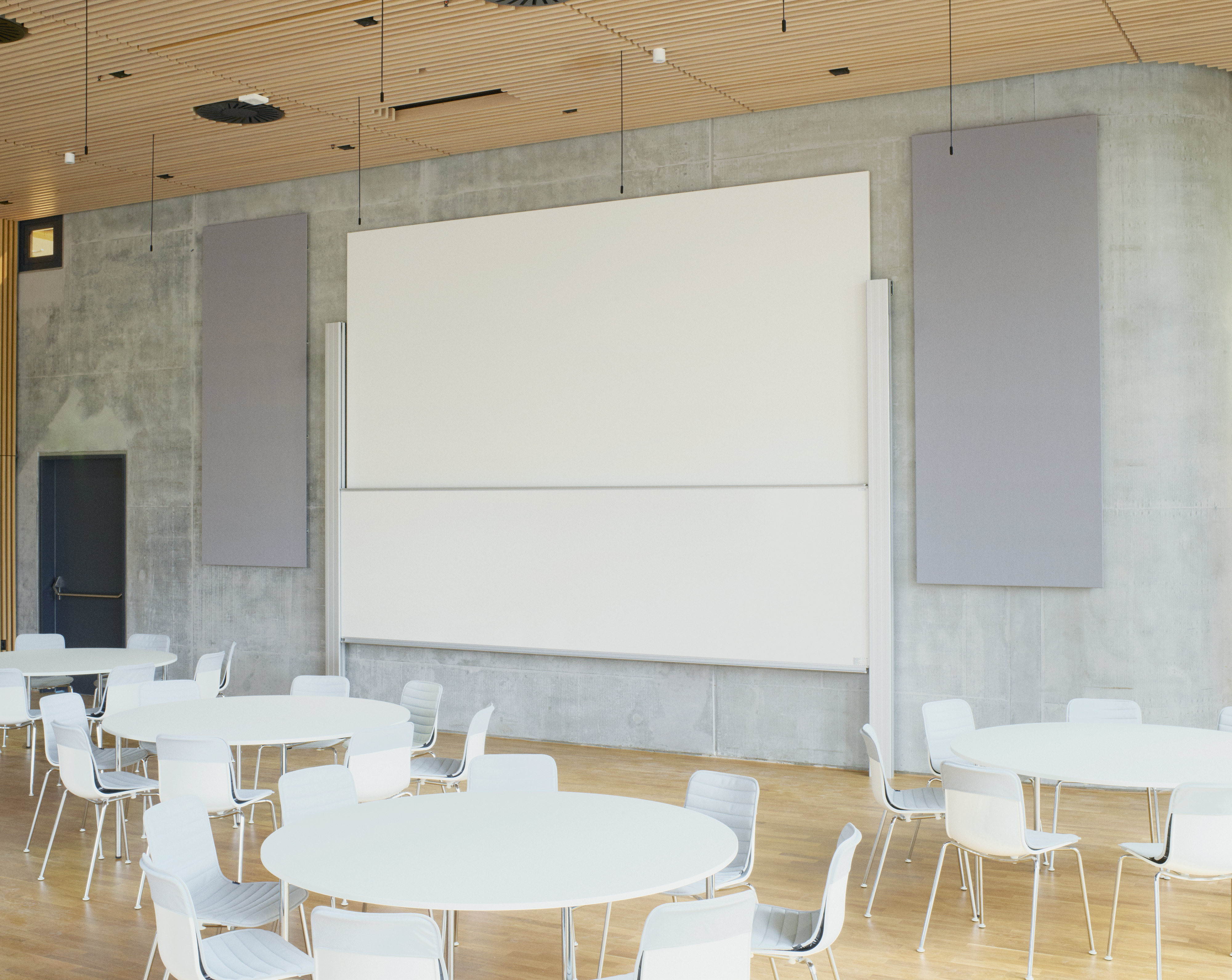 Soft Cells Panum Institute project